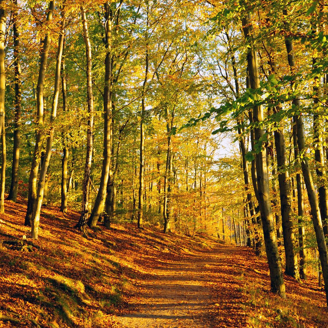 Hochformat und Landschaft: Foto-Basics | DigitalPHOTO