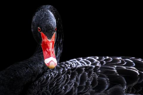 Galerie | DigitalPHOTO