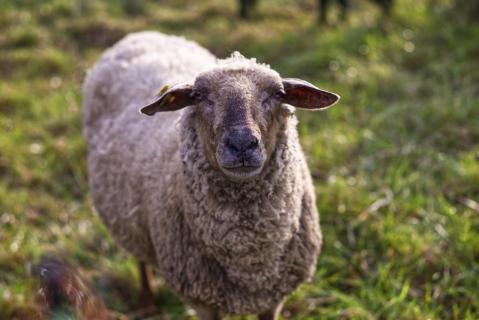 Galerie | DigitalPHOTO