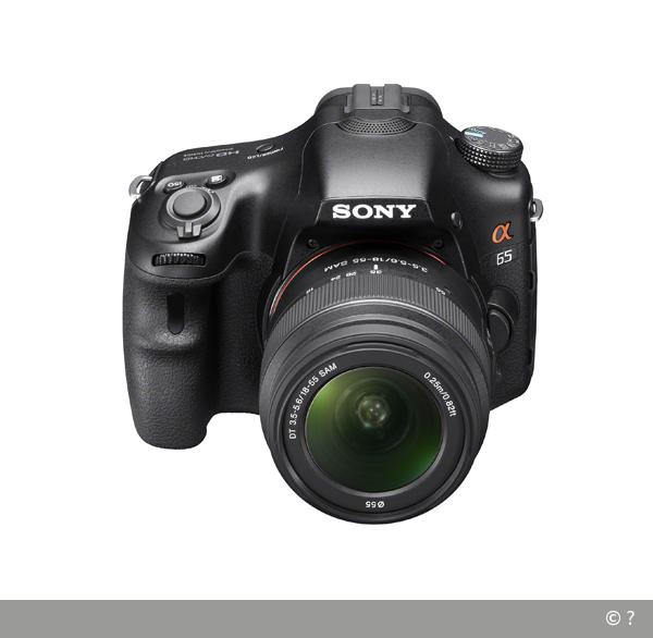 Sony SLT A65V und A77V | DigitalPHOTO