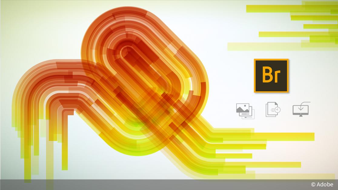 Update für Adobe Bridge | DigitalPHOTO