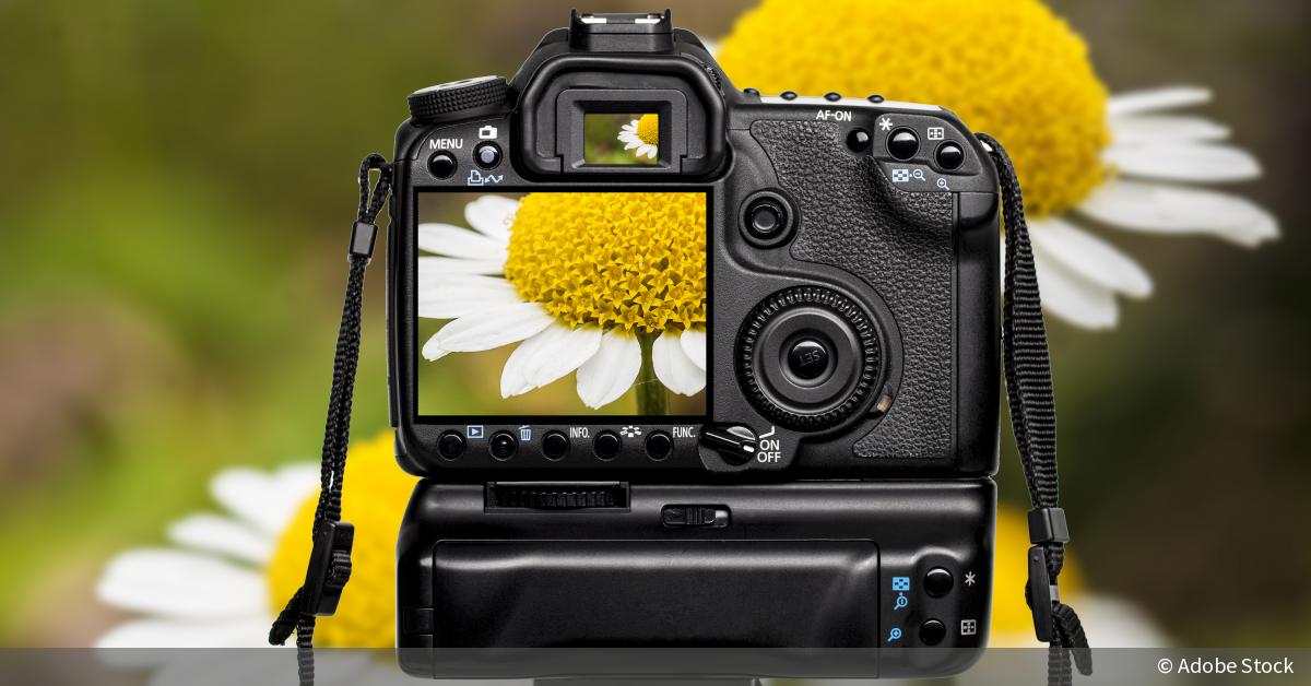 Focus Peaking: Foto-Basics