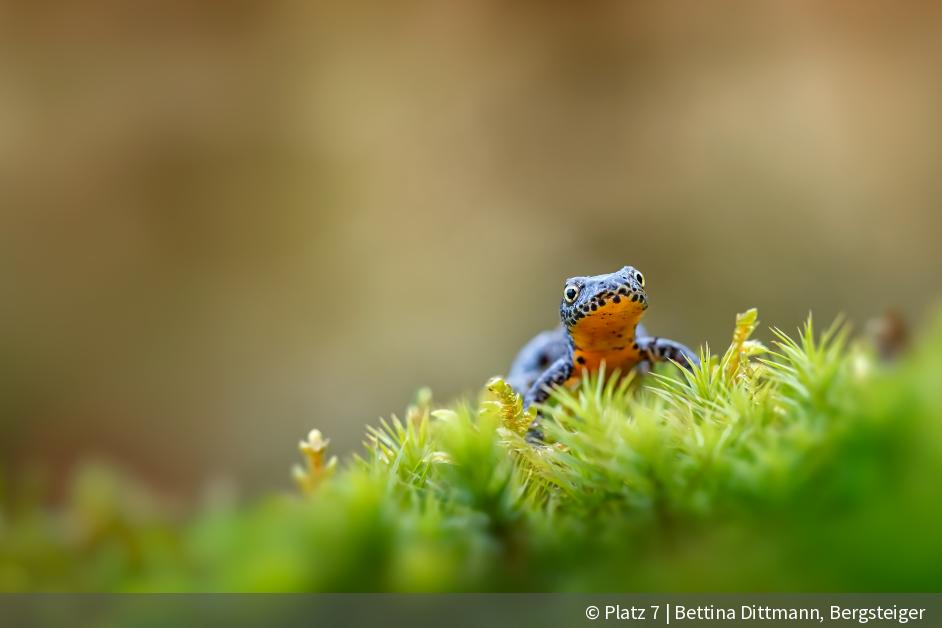 Makrofotografie: Die besten Aufnahmen unserer Leser!