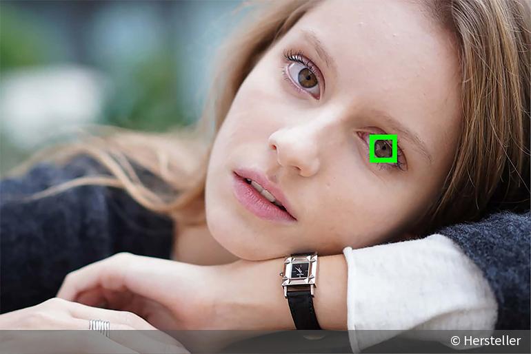 Kamera Autofokus: Alle Funktionen & Autofokussysteme erklärt