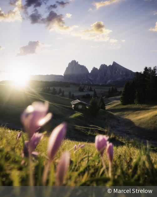 Landschaftsaufnahmen im Gegenlicht meistern [Profi-Trick]