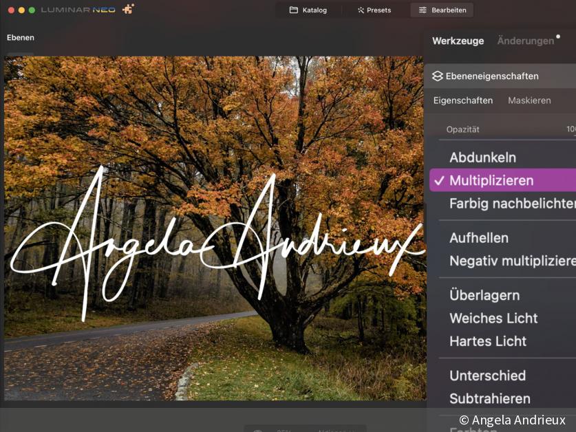 Wasserzeichen erstellen und sichern [in nur 8 Schritten]