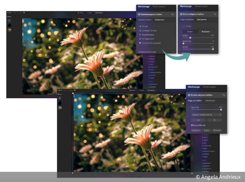 Ebenen in Luminar Neo erklärt: Kreativität entfalten!