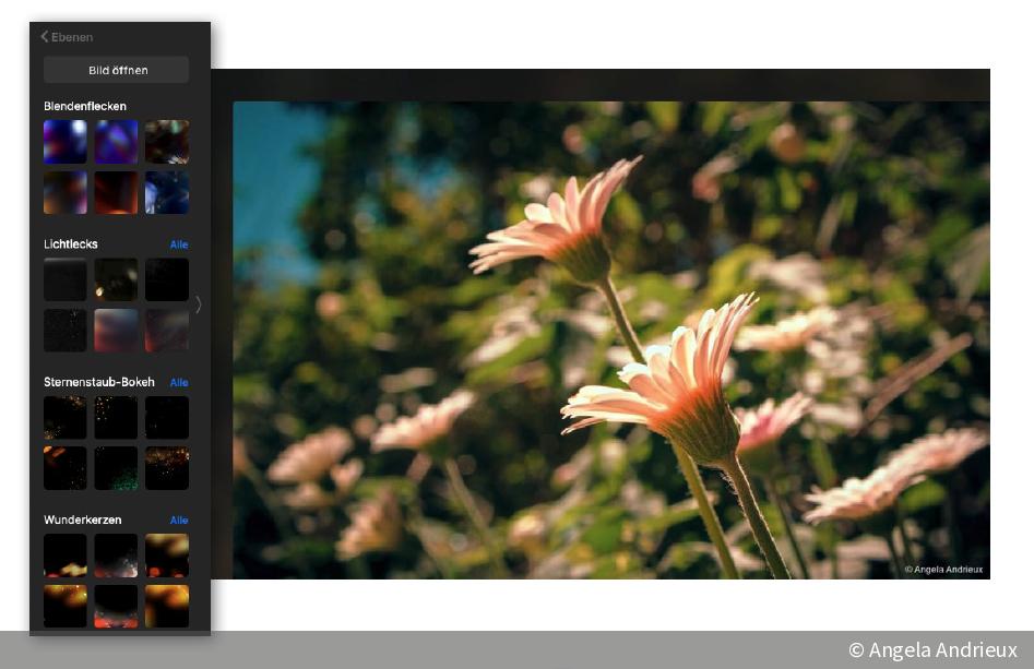 Ebenen in Luminar Neo erklärt: Kreativität entfalten!