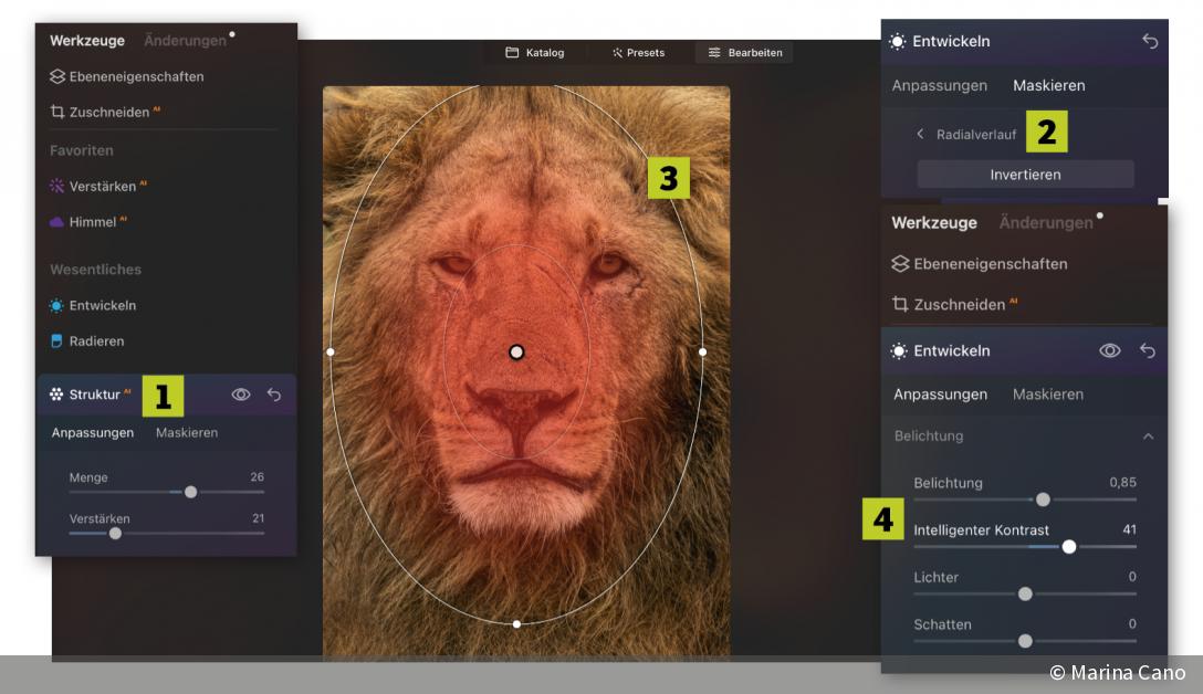 Wildlife-Porträts mit Luminar Neo bearbeiten [Profi-Tipps]