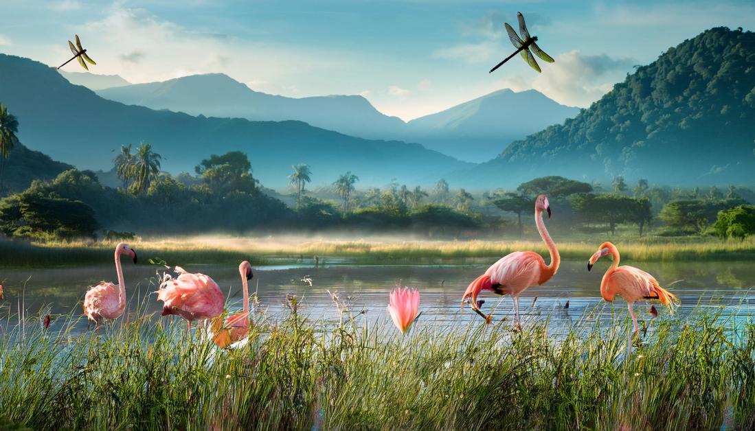 8 KI-Bildgeneratoren im Test: ein Prompt, viele Ergebnisse