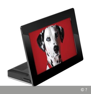 Kodak OLED-Frame ab sofort erhältlich | DigitalPHOTO